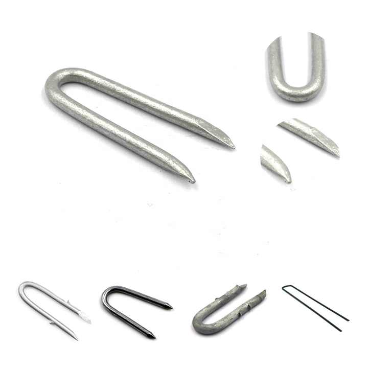 40 X 4mm Galvanized Cut Point Staples 25KG/BOX - Building Construction