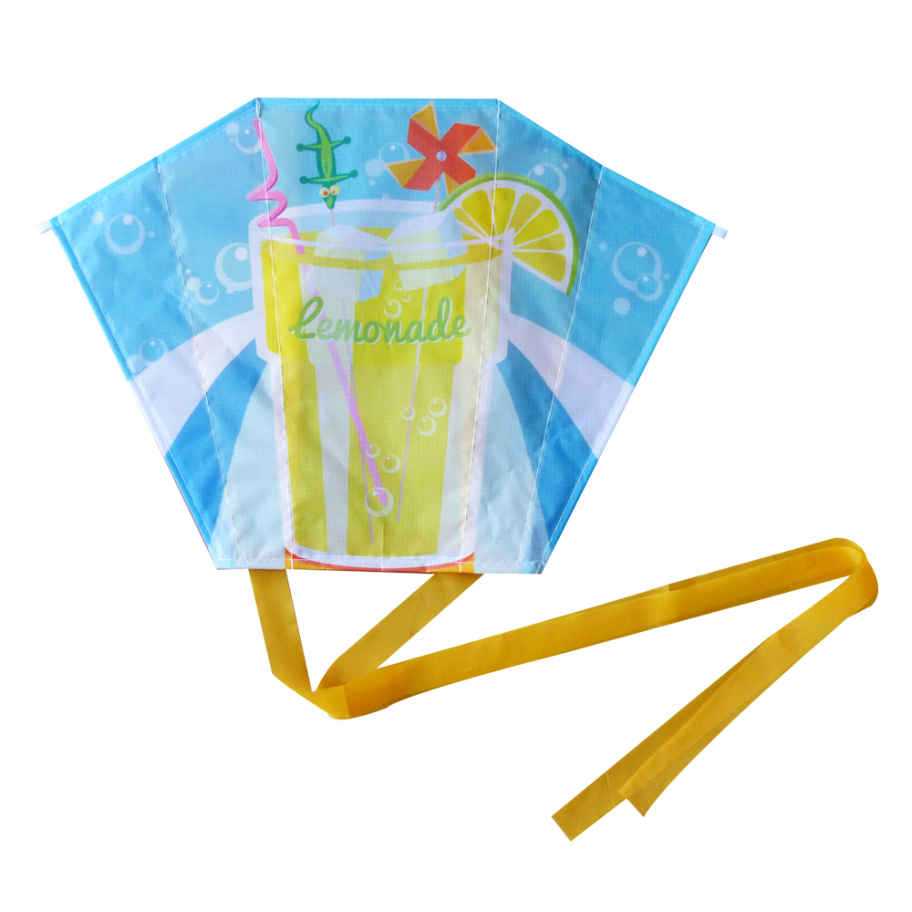 Deals Folding Kite Multi-Scenario Usage & Easy To Fold | Alibaba.com