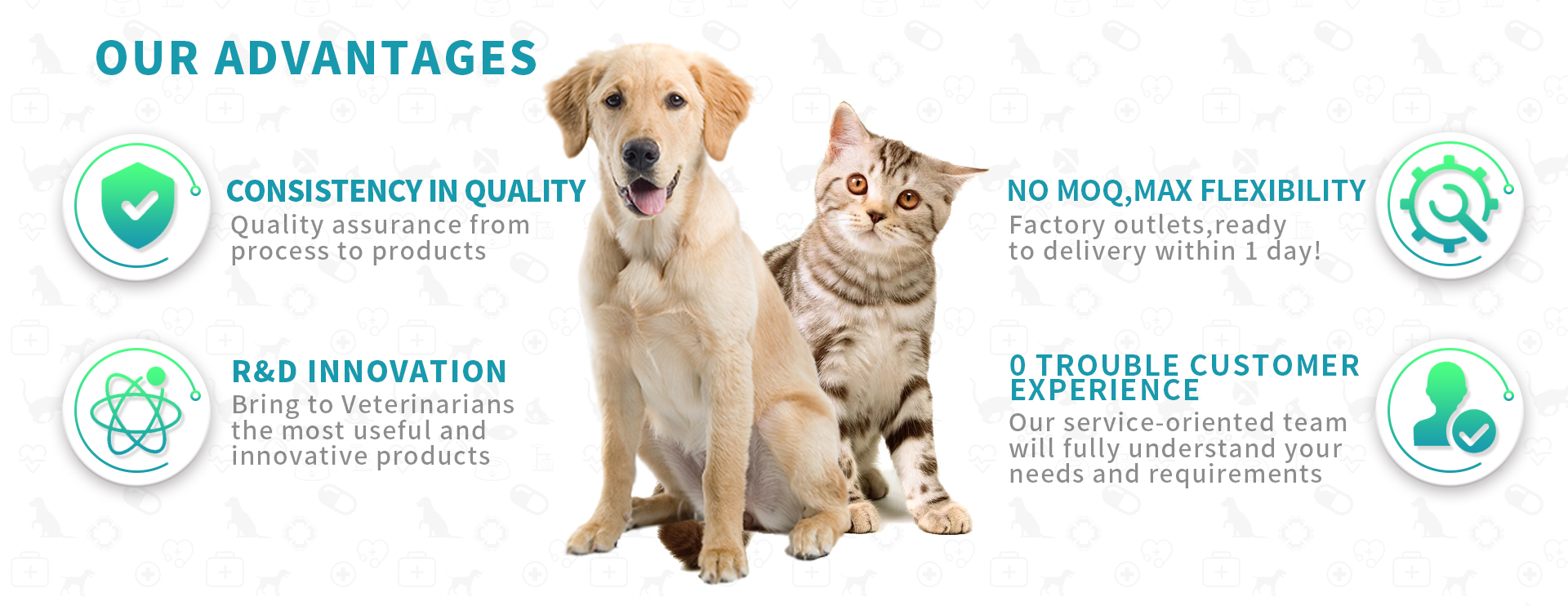 Shanghai S&C Biotech Co.,Ltd - Pet rapid test kit, Animal rapid test kit