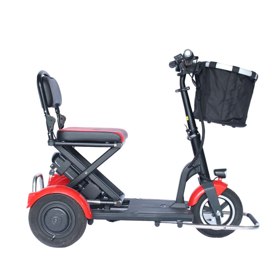 Dynalion 36V/48V Three Wheel Electric Bicycle with Removable Battery ...