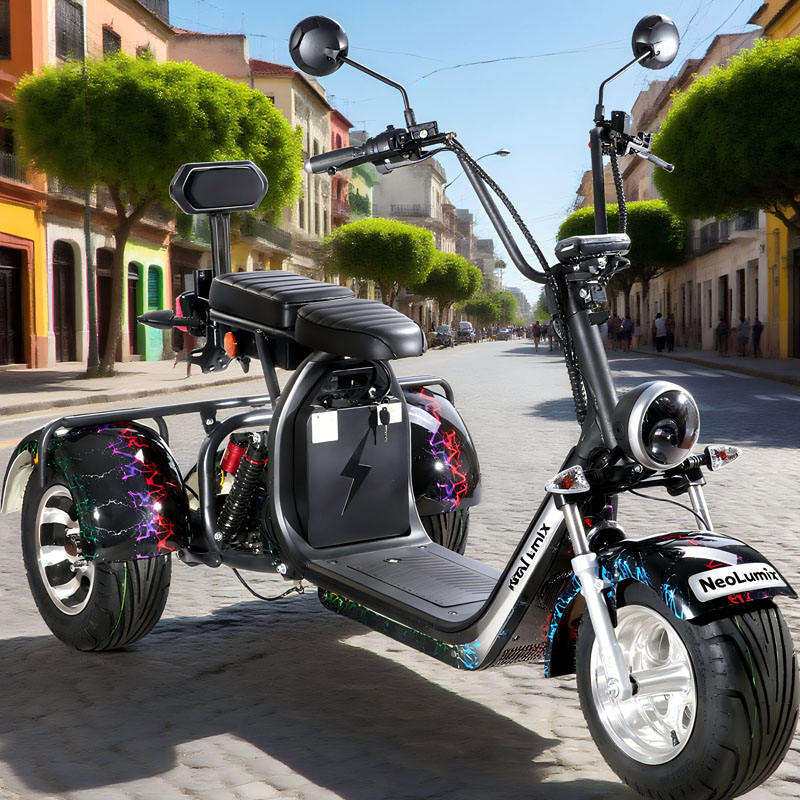 2026 Powerful 60V Electric Motorcycle Citycoco 1000W Three Wheel Open ...