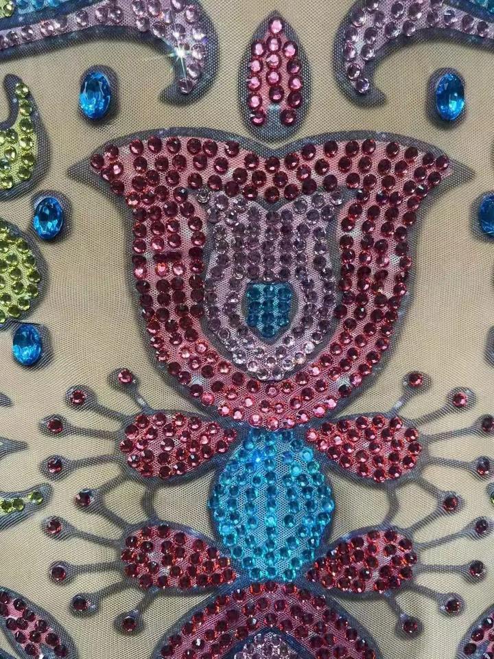 Exotic Dress Dance Costume for Women Twinkling Rhinestones Sleeveless ...