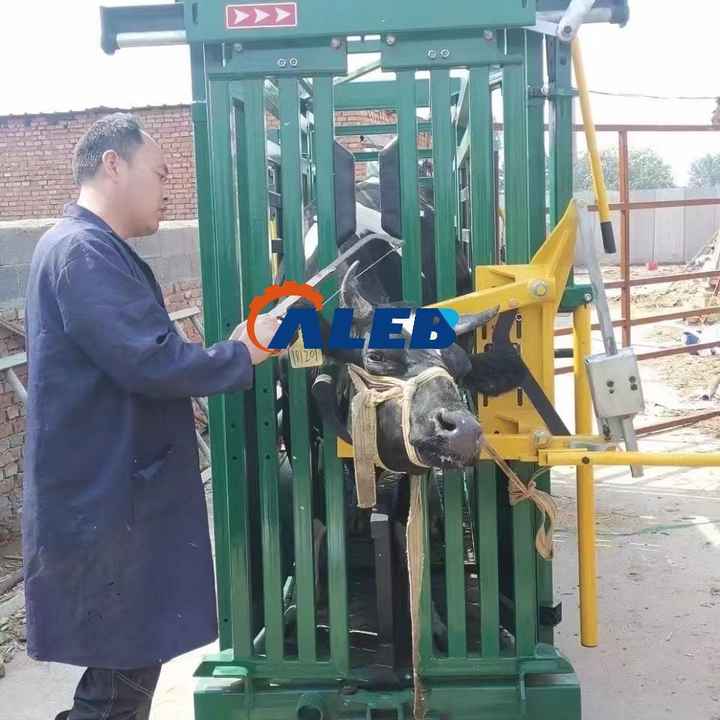 Heavy Duty Powder Coating Hydraulic Cattle Squeeze Chute Manual Cattle ...