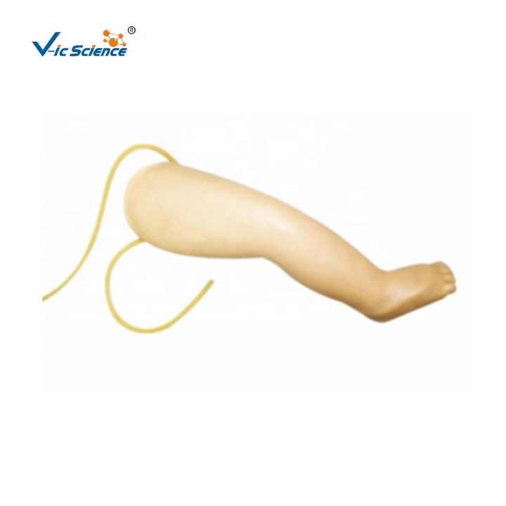 Infant Leg Venipuncture Model Training Venipuncture Leg Model for ...