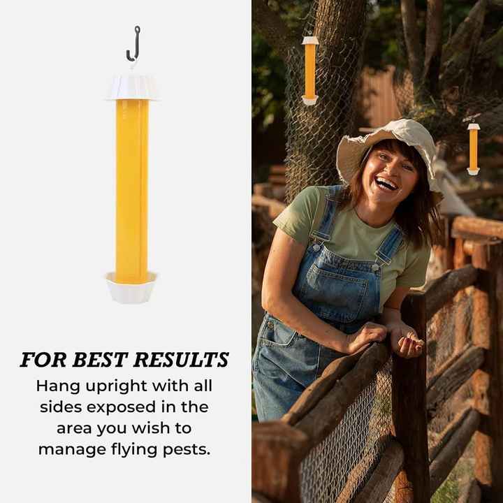 Highly Efficient Harmless Fly Catchers Stick and Fly Glue Adhesive ...
