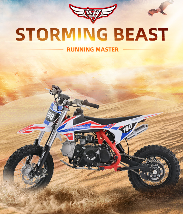 2020 Motocross 110cc Automatic Enduro Motorcycle 4 Stroke Engine Mini ...