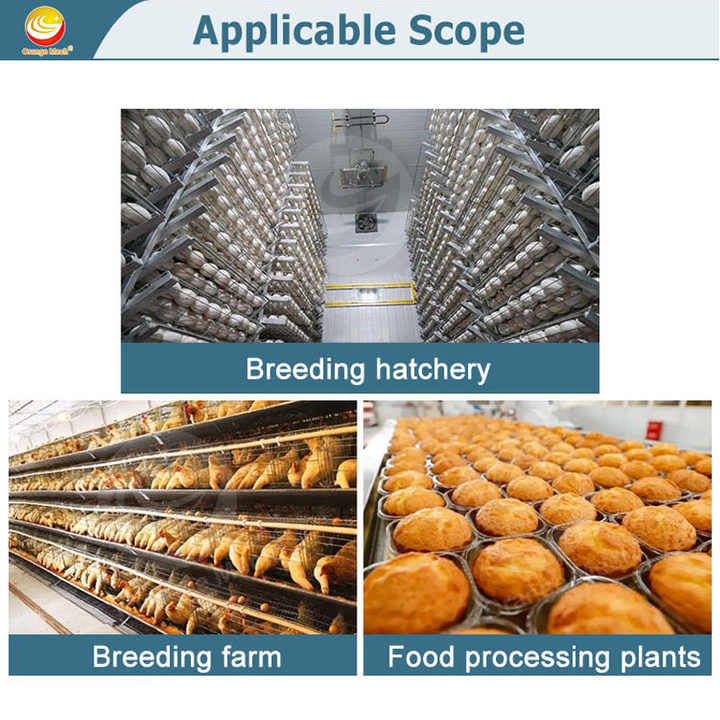 ORME Automatic Grader Weight Chicken Egg Classifier Machine for Sorting ...