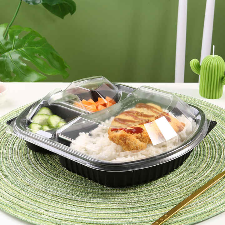 Microwavable and Heatable Plastic Disposable Fast Food Containers Fast ...