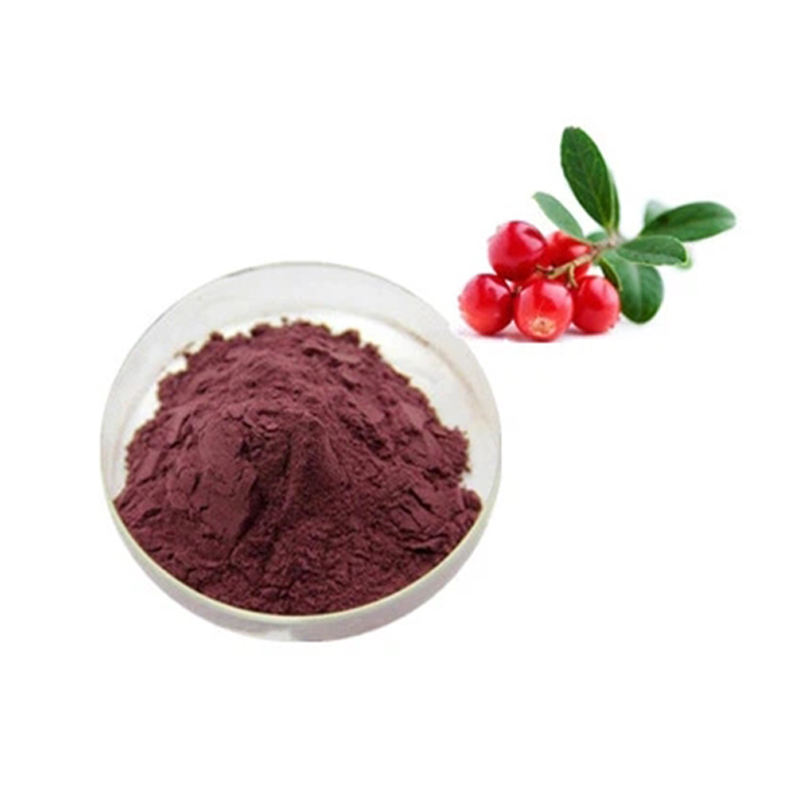 Cranberry Extract with 25% Procyanidins HPLC Tested Available Drum Can ...