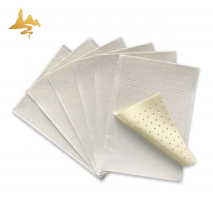 Capsicum Plaster - 12x18cm Transdermal Pain Relief Patch