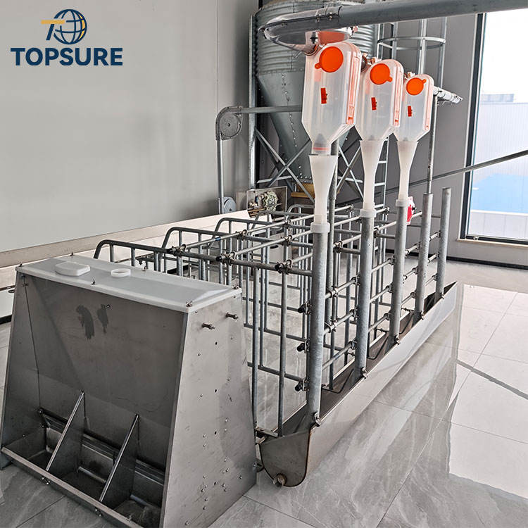 Plug and Play Solid Frame Pig Farm Farrowing Equipment Sow Farrowing ...