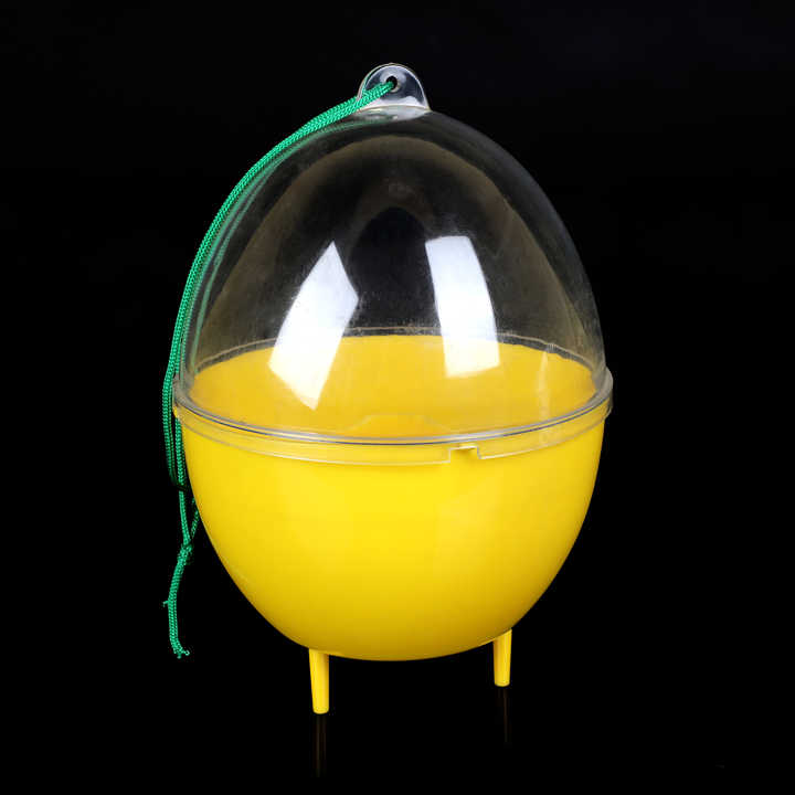 Child Safe Wasp Elimination Tool Non-Toxic,Easy-to-Clean Build for ...