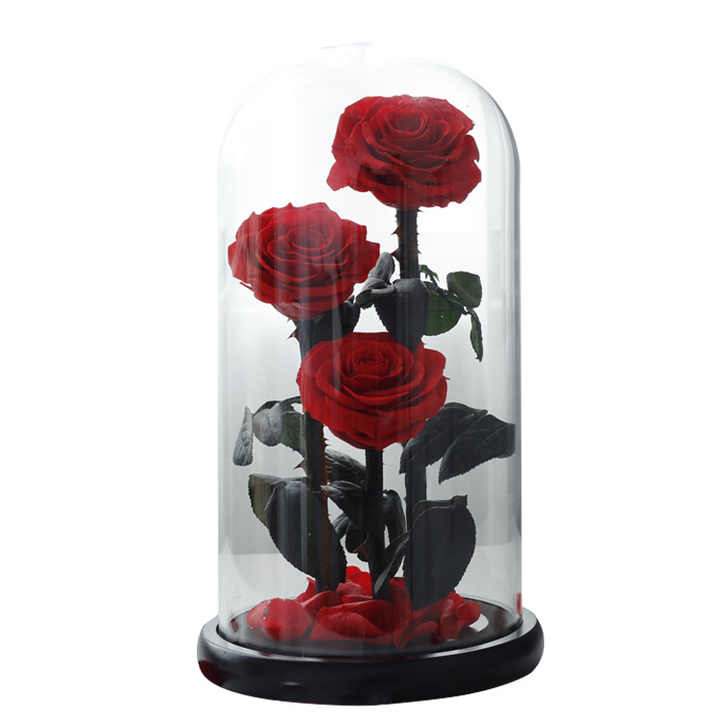 Real Natural Long Life Lasting Everlasting Immortal Forever Eternal ...