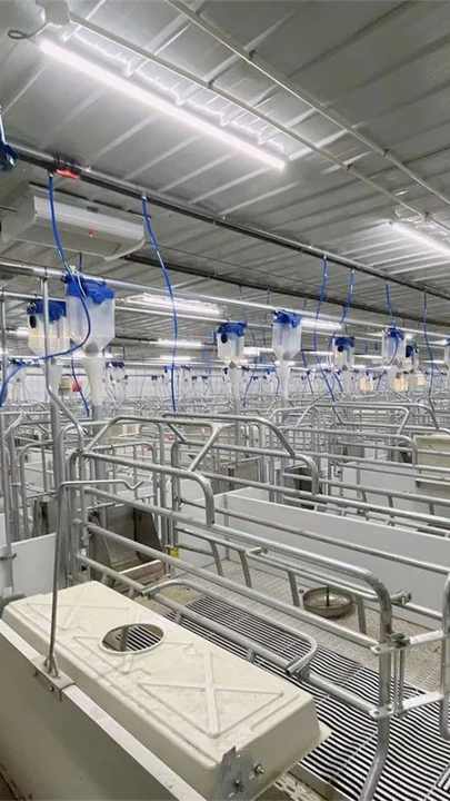 Complete Pig Farming Equipment Project Design| Alibaba.com