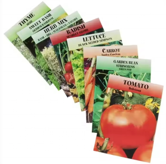 How to Choose the Best Seed Packs for Your Garden: A Complete Buying Guide