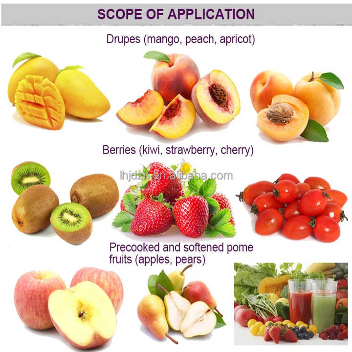 Fruit Pulping Extractor Machine Blueberry Fruit Pulping Machine Fruit ...