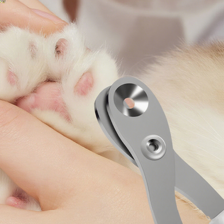 Stainless Steel Pet Nail Clipper Cats Rabbits Small Dogs Claw Clippers ...