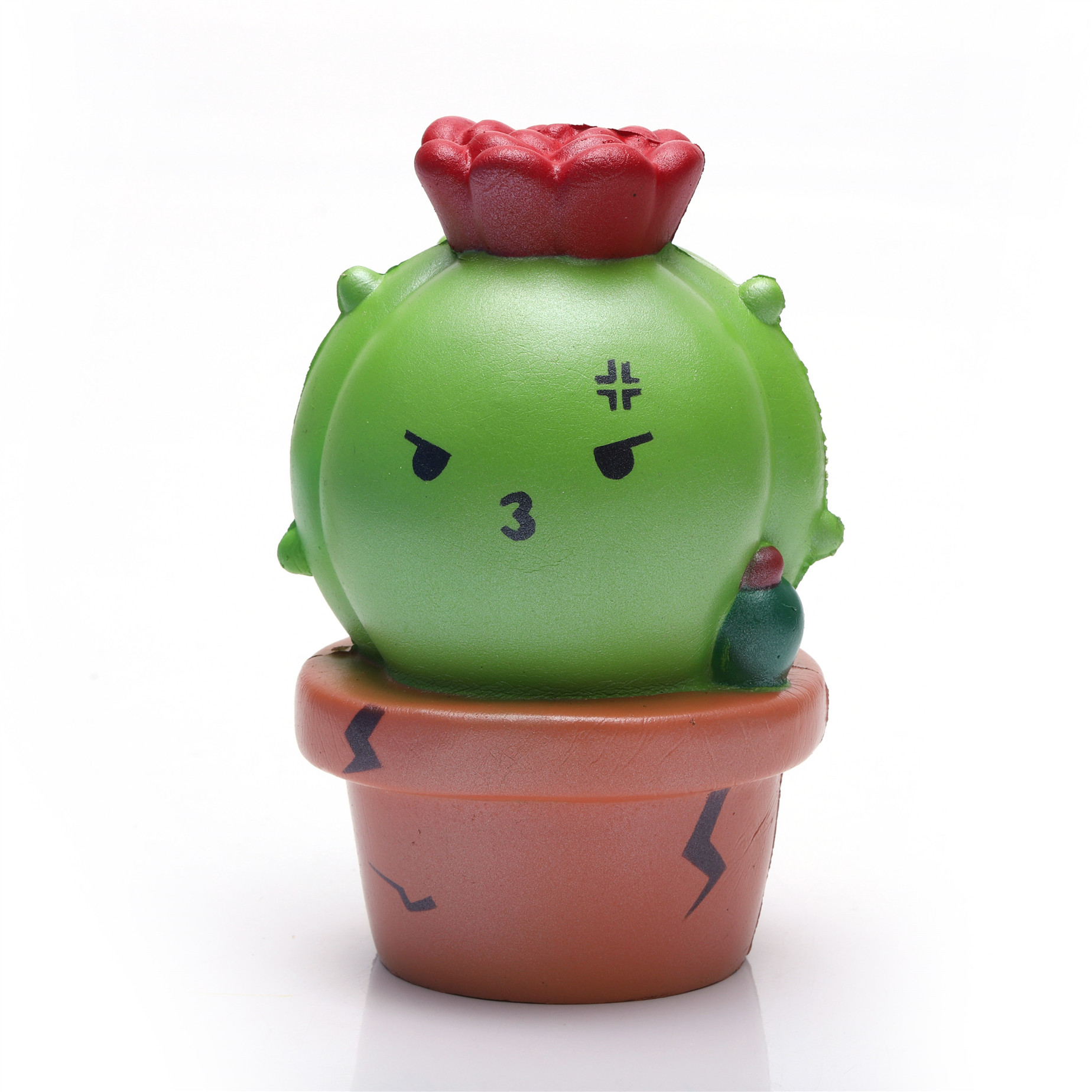 How to Choose the Best Cactus Ball for Your Needs: A Complete Buying Guide