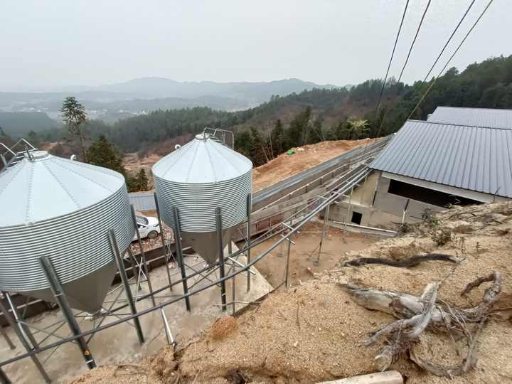 20 Ton Silo with Weighing System - Efficient Grain Storage