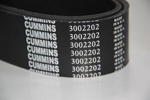 cummins ventilador cinturón 3002202 de primer nivel con funciones ...