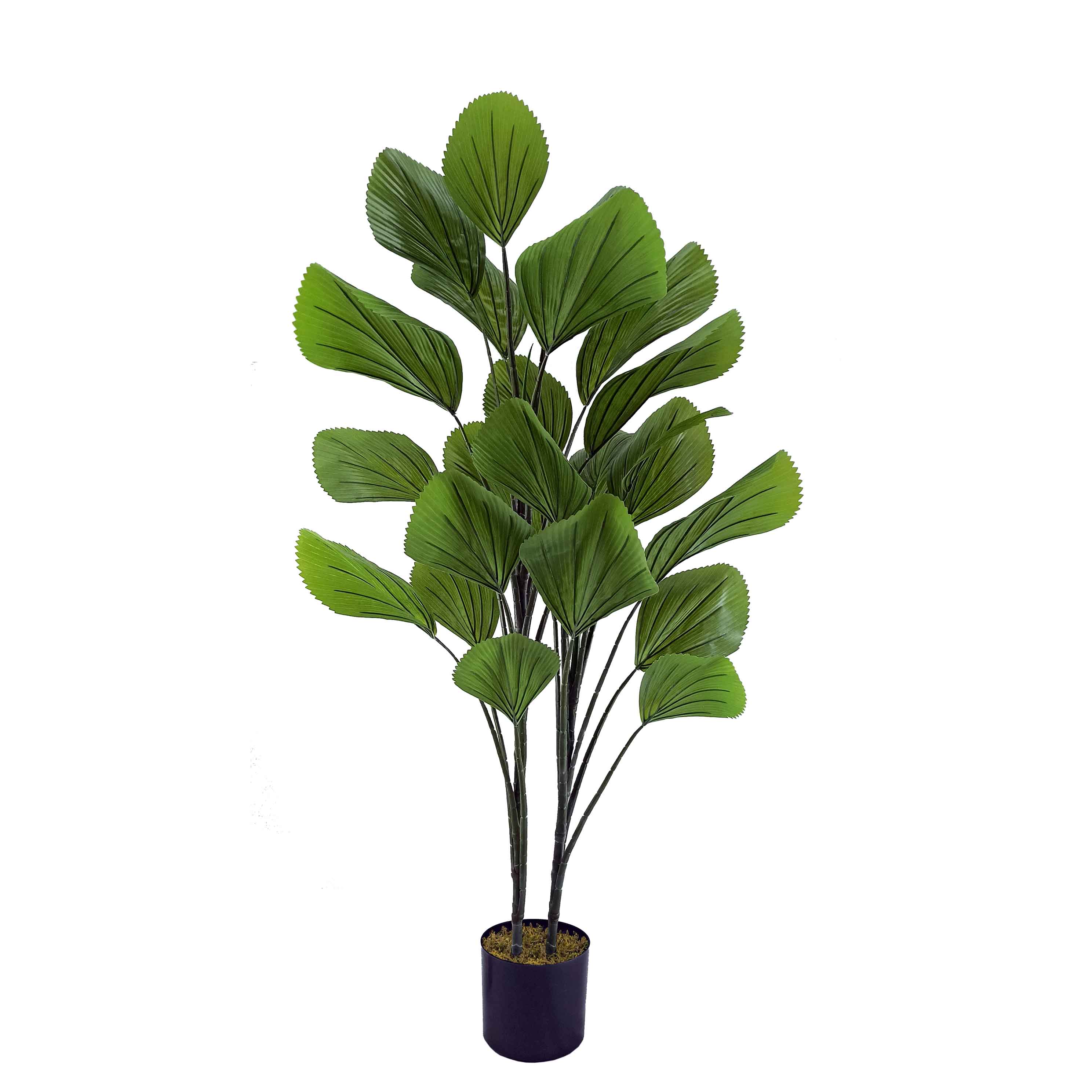 Descubra 99 kuva plante artificielle structube - Thptnganamst.edu.vn Descubra 99 kuva plante artificielle structube - Thptnganamst.edu.vn