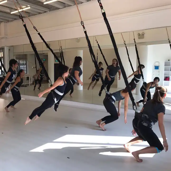 Bungee Fitness Set Yoga Bungee Cord Rope Resistance Air Dance Rope ...