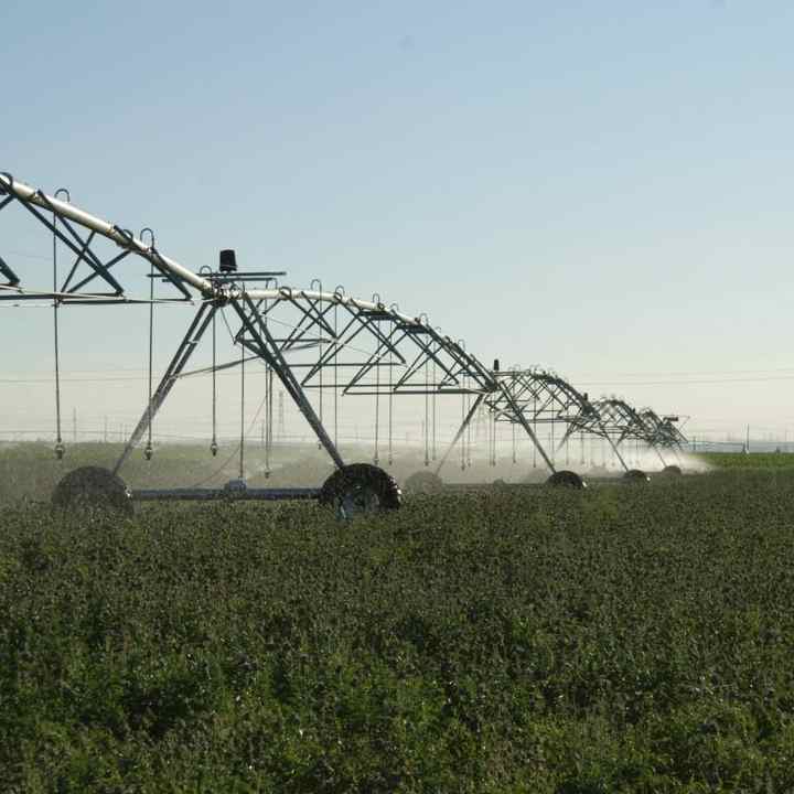 Center Pivot Irrigation Machine with Drip-Sprinkler Combo for Mixed ...