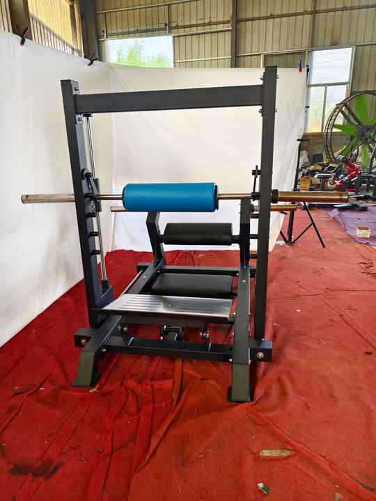 Dual-Function Sitting Posture Pendulum Squat Fitness Equipment Body ...