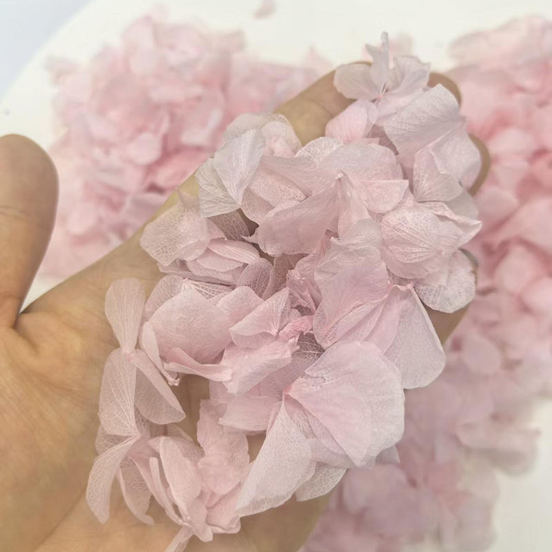 100% Biodegradable Eco-friendly Wedding Confetti Beautiful Real Dried ...