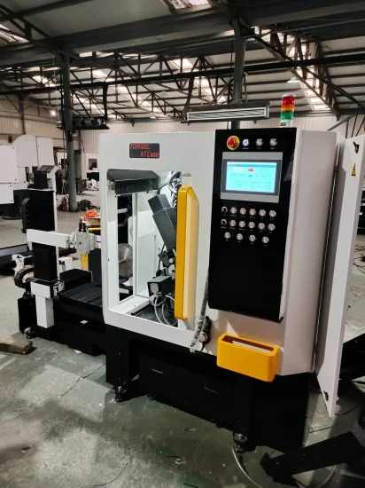 Torsel 2021 CNC Sharpening Saw Blade Grinding Machine