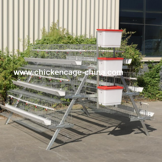 Durable and Efficient industrial chicken coop for farms for Optimal ...