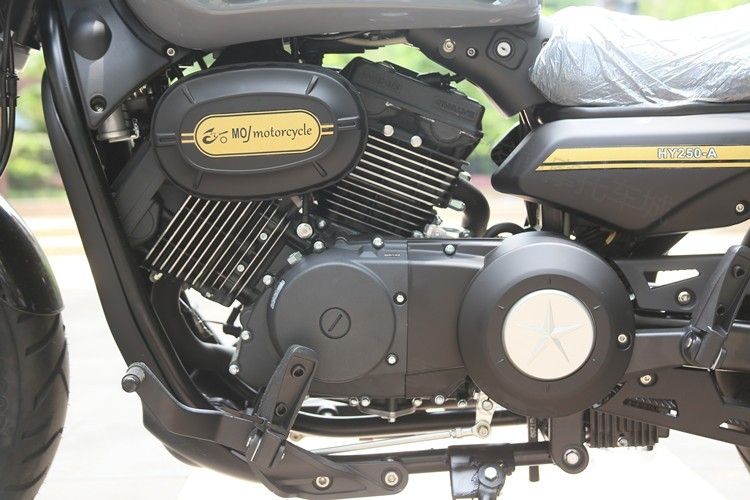 F&R Disc Brake Chopper Motorcycle 250cc 300cc Cheap Electric Chopper ...