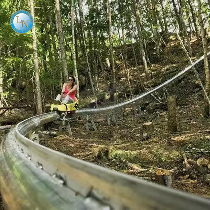 Outdoor Alpine Single Rail Park City Mountain Roller Coaster