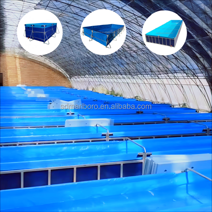 High Breeding Density Shrimp Farming Tanks Tilapia Catfish Freshwater Fish Plastic Canvas PVC ...