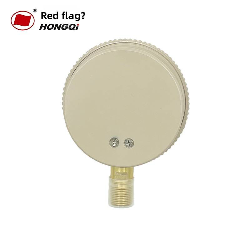 Hongqi Instrument Bellows Pressure Gauge YE-100 6/10/16/25/40 KPa ...