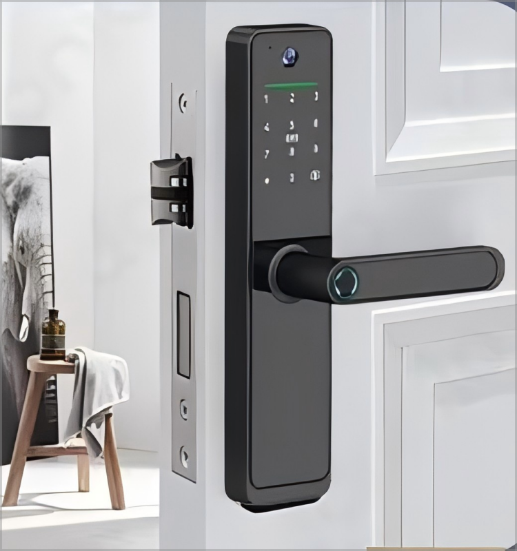 Tuya Smart Lock Wi-Fi Ttlock APP Control Fingerprint Cloud for Wood ...