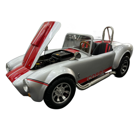 150cc Mini Cobra Go Kart - Electric Start & off Road Racing