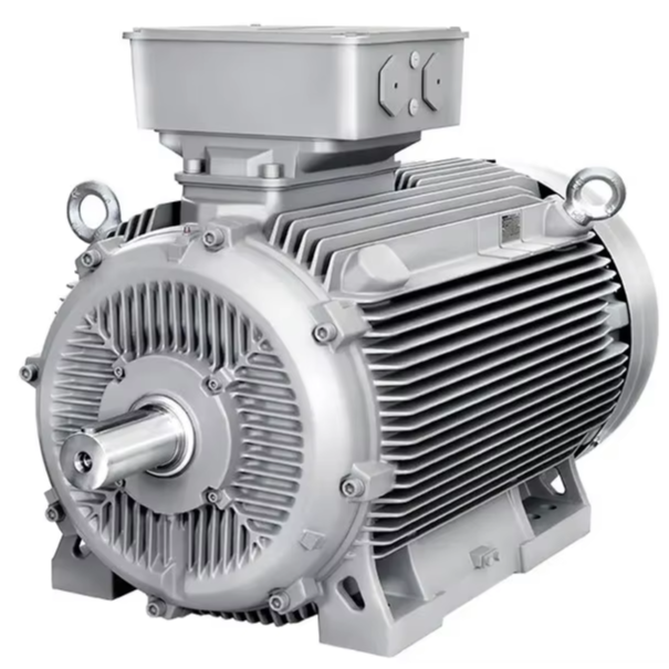 INNOMOTICS GP General Purpose Three Phase Asynchronous Induction Motors ...