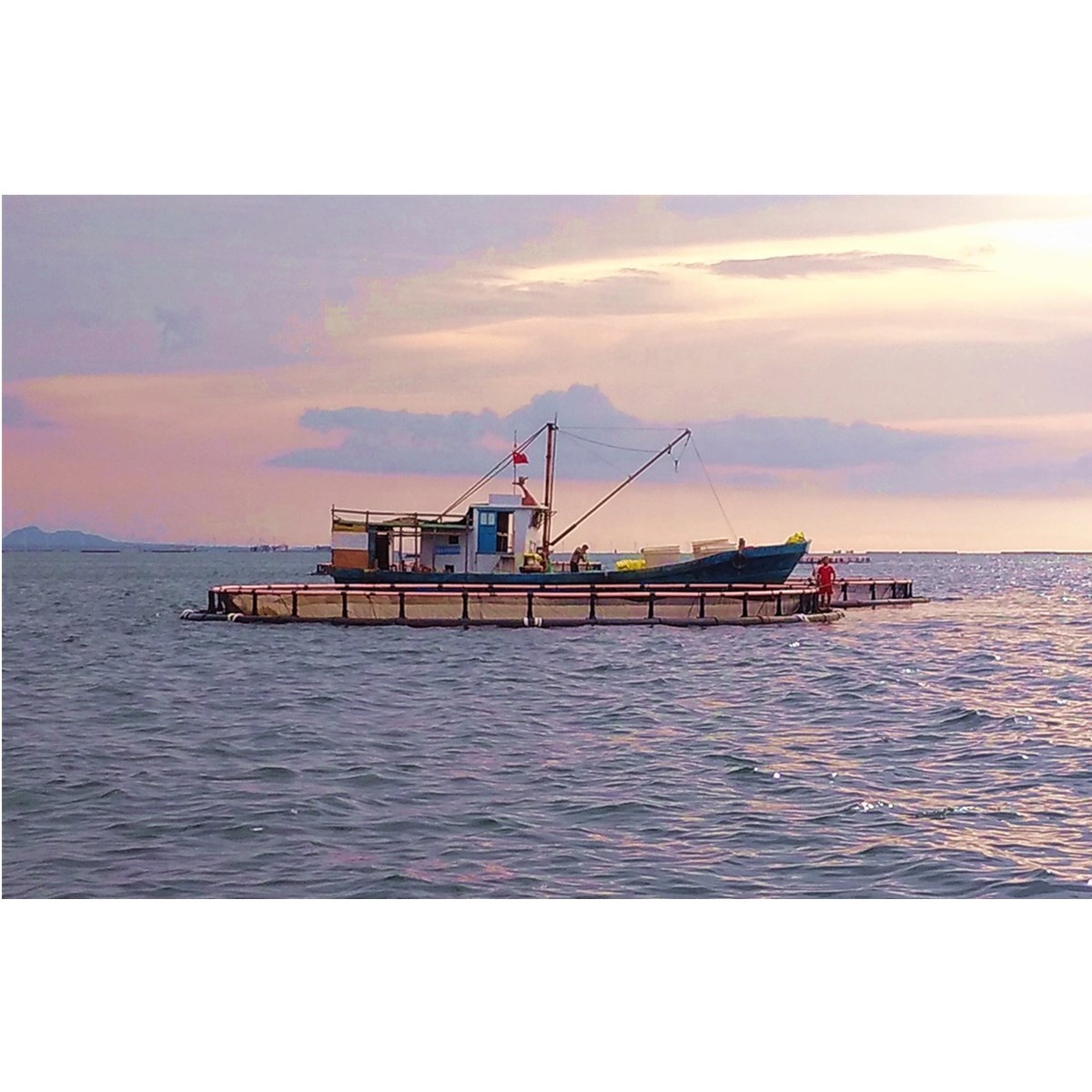 Offshore Fish Farming Cages - Durable & Efficient Aquaculture