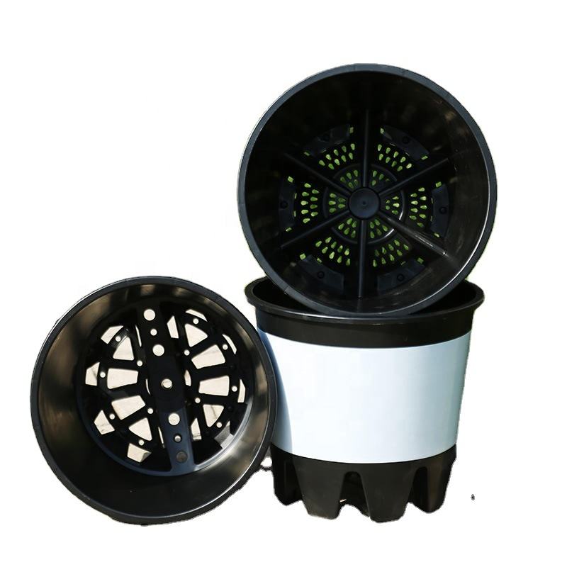 Eco-Friendly Rustic Design Blueberry Plant Pot with Optimal Drainage ...