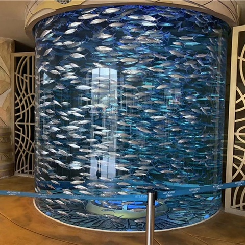 Giant Custom Acrylic Round Aquarium - 94% Light Transmittance