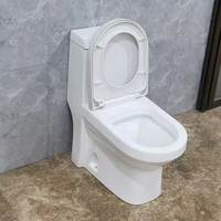 Saudi Arabian Toilets