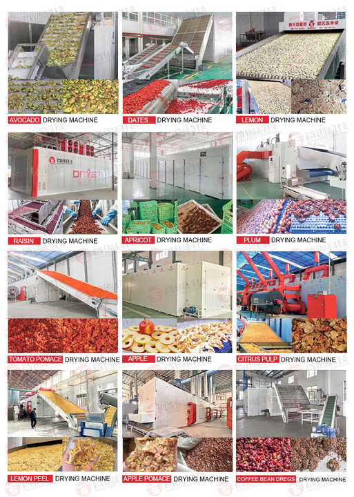 Continuous Coconut Mesh Belt Dryer Shredded Coconut Copra Shell Fiber ...