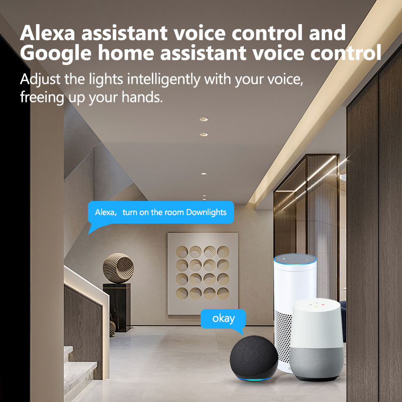 TUIOAN Tuya Smart Down Light with 60W Intelligent Dimming and Color ...