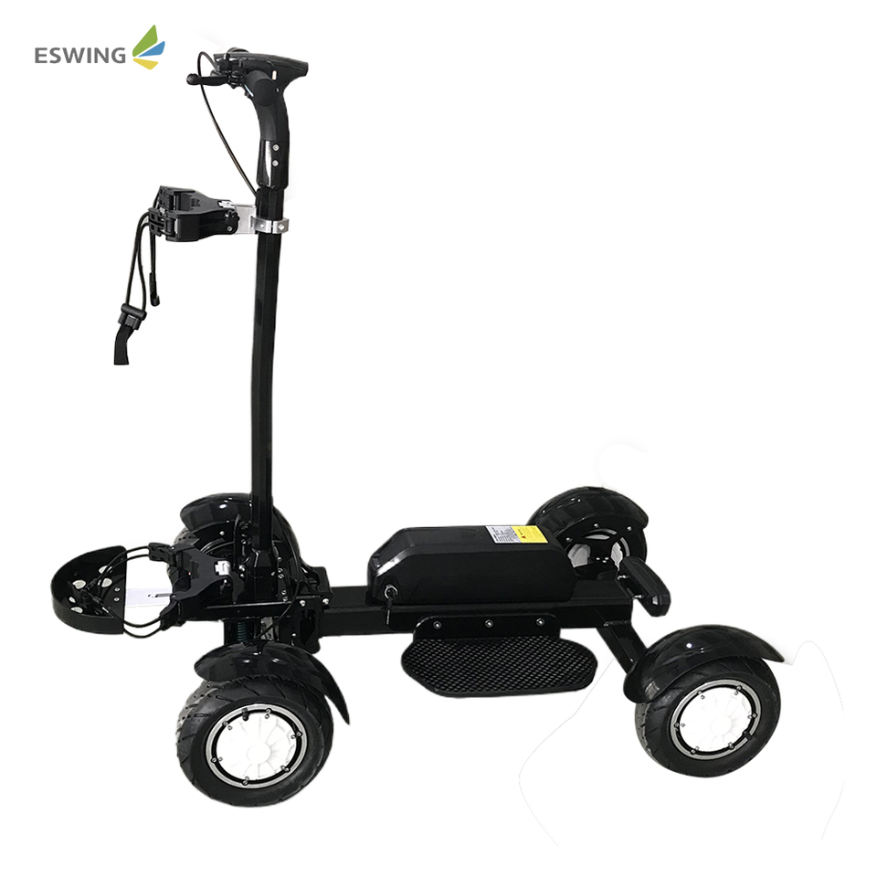Mini Electric Golf Cart - 4 Wheels, 2400W Motor Power
