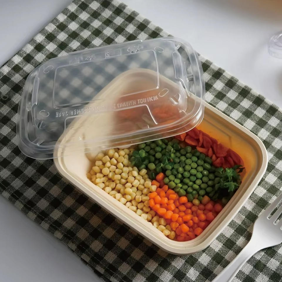 Eco-friendly Lunch Boxes - Customized Biodegradable Containers