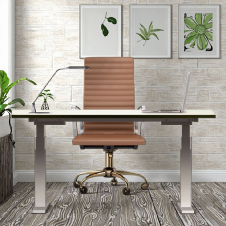 ZGO Modern Ergonomic Standing Computer Desk - Dual Height Adjustable