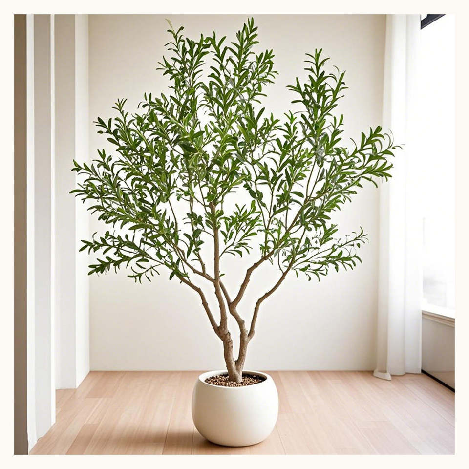 250cm Olive Tree Artificial Gargen Indoor/Outdoor Wedding Decorative ...