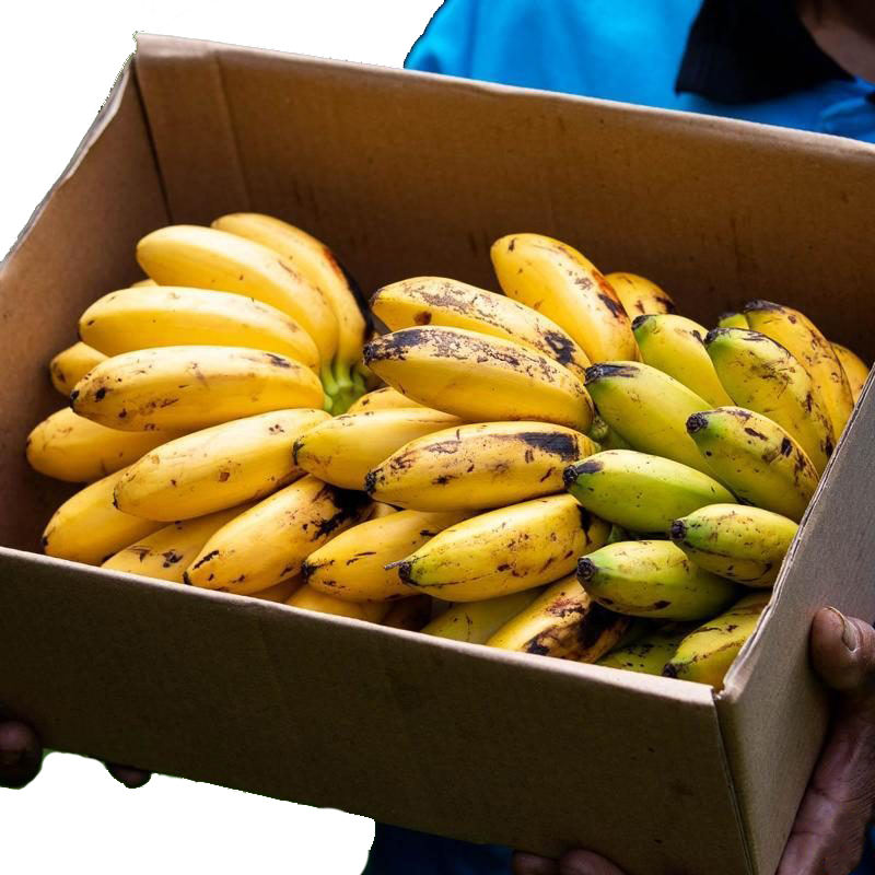 Custom Design Empty Cardboard Banana Carton Fruit Box