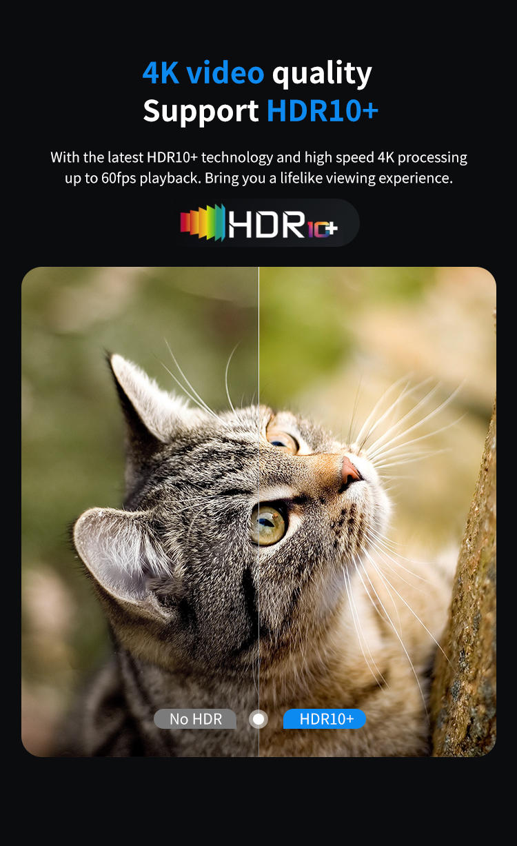 Topleo android 10.0 BTV white SKD allwinner tv digital 4k mini smart android tv box Products ...